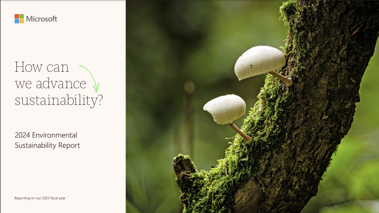 FIDO and Microsoft: The story so far | FIDO Tech