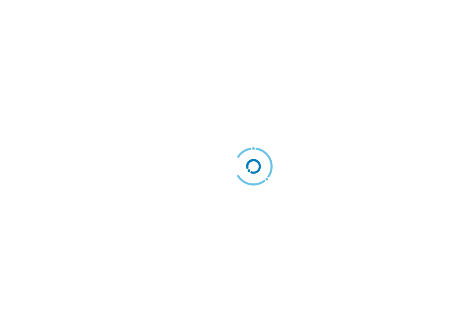 FIDO AI: Cutting-edge water leak detection technology
